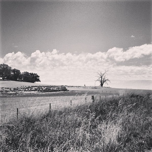 Boorowa - Boorowa, Australia