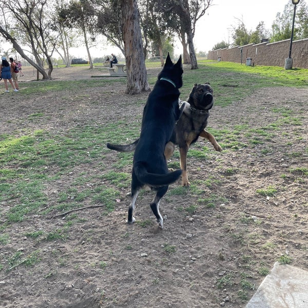 East Dog Park - Etiwanda - 7 tips