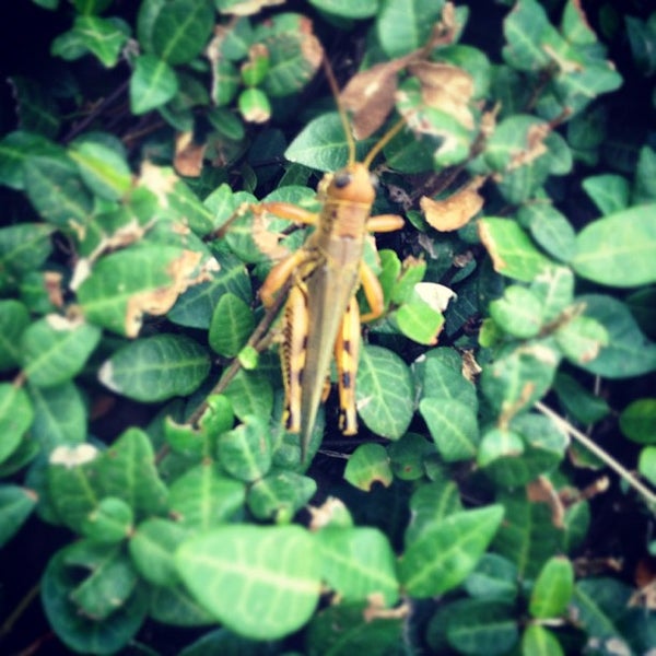 Photos at Betsy and Steve Palko Hall - College Academic Building