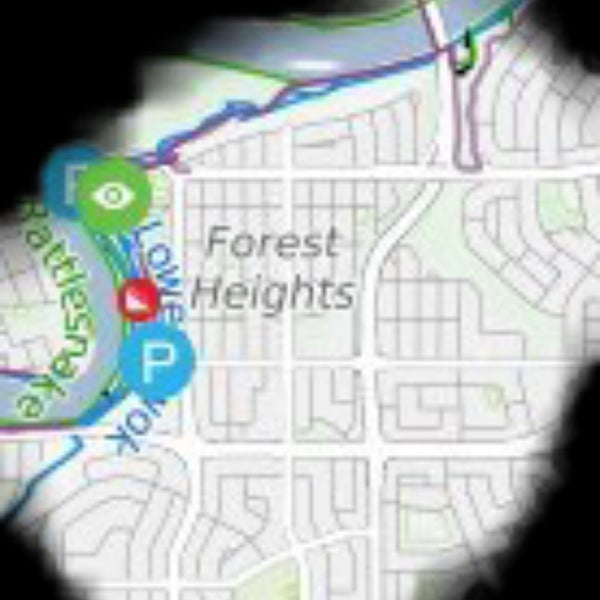 Forest Heights - Edmonton, AB