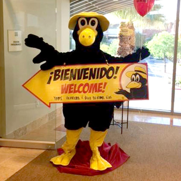 Fiesta Insurance Logo