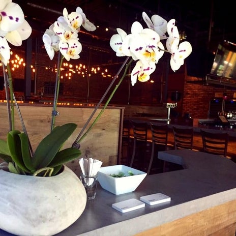 Bellini Italian Bistro Eureka - Italian Restaurant in Miami