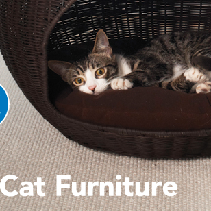 Photos at PetSmart Corporate Headquarters - Office in Phoenix