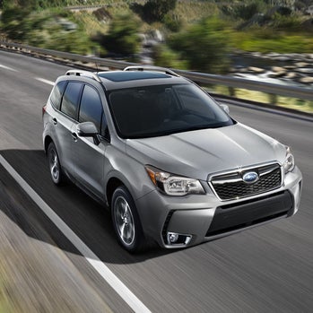 Otto's Subaru - Car Dealership in Westboro