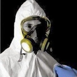 FirstOnSite Restoration - 1 visitor