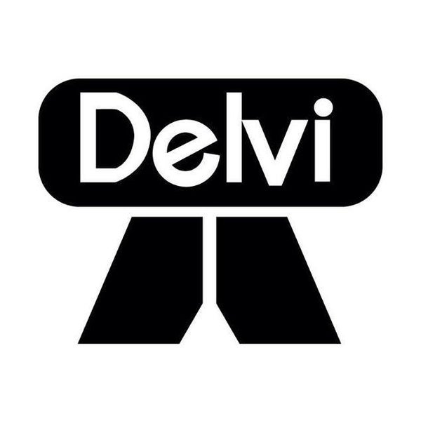 Delvi, Inc. - Business Service