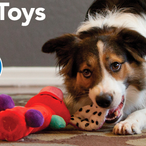 PetSmart - Pet Supplies Store