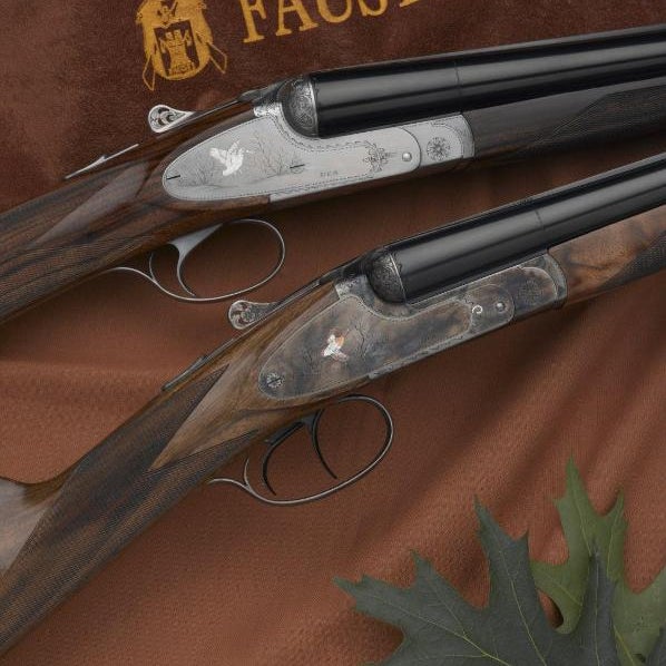 Fausti Arms - Sports and Recreation