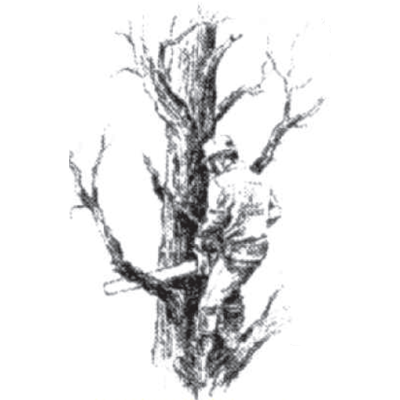 Custom Cut Tree Service - 4 tips