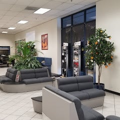 Citrus Motors - Car Dealership