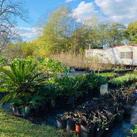Rochelle Backyard Nursery - Rochelle, GA