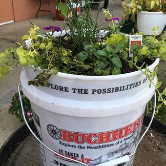 Buchheit - Jacksonville, IL