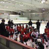 Photos at Nelson Center Ice Rink #1 - 2 tips from 203 visitors