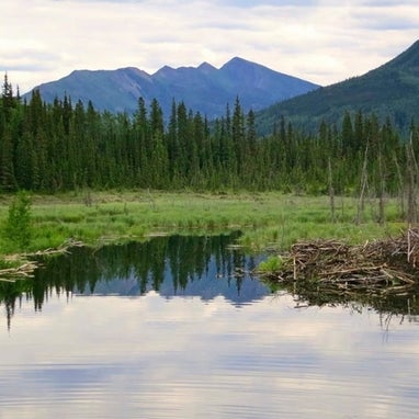 Toad River Lodge - 2 tips