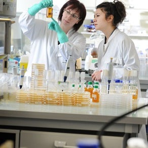 Solvias AG - Rosental - Basel, Basel-Stadt