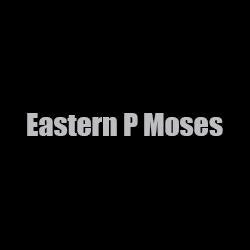 Easter P Moses - Downtown Roanoke - 120 Church Ave SW Ste 200