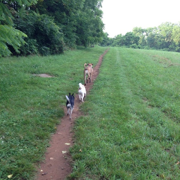Okehocking Preserve - Trail