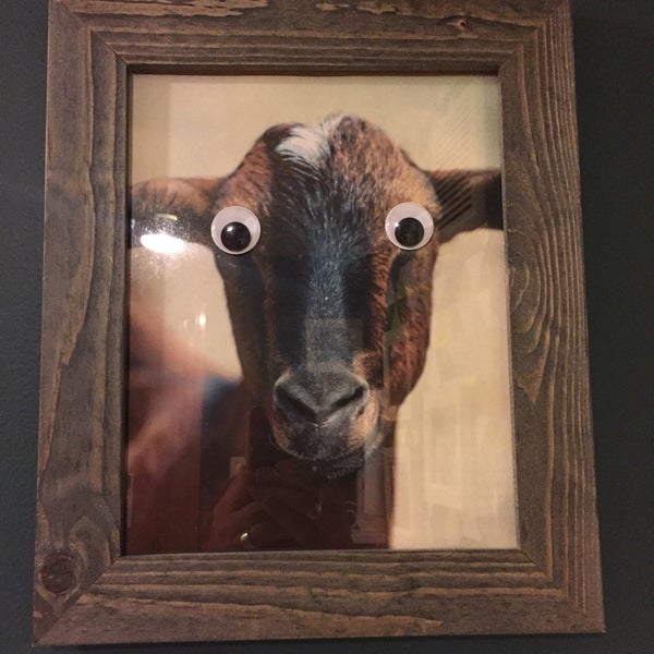 The Frisky Goat - Milford, PA