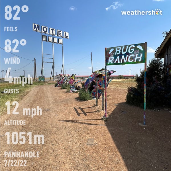 Slug Bug Ranch - Sculpture Garden