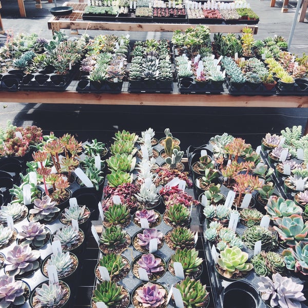 Evergreen Farm - Evergreen - San Jose, CA
