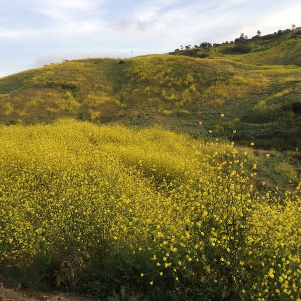 Photos at Chapparosa Park - Park