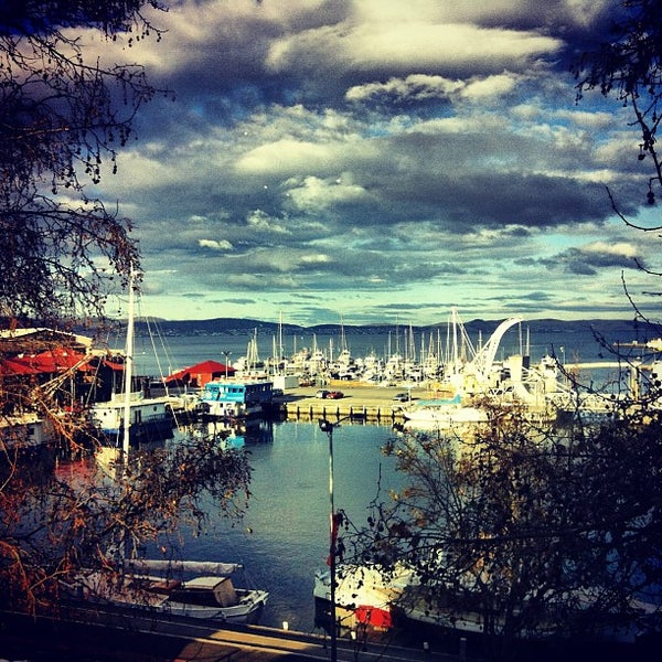Hobart Wharf - 1 tip
