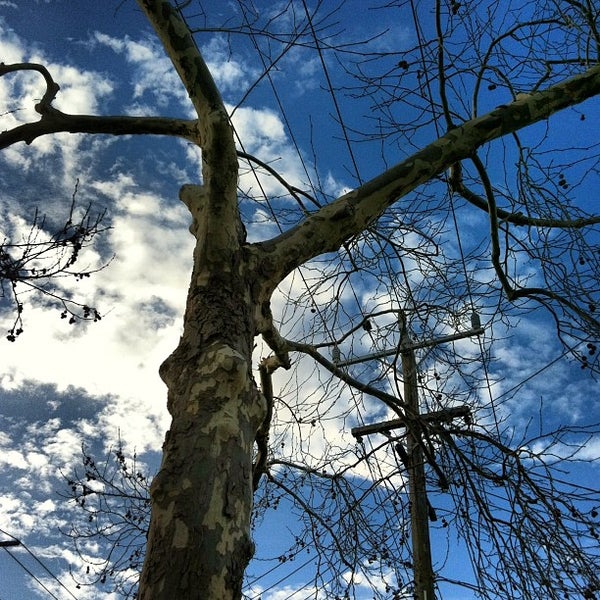 West Footscray Library - Library in West Footscray