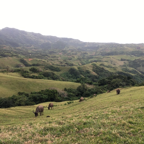 Racuh A Payaman - 3 tips