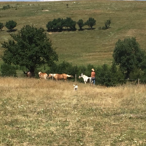 EL PASO Ranch - Farm in Самоков