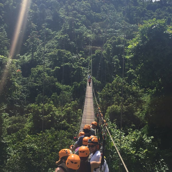 Toro Verde - 10 tips from 311 visitors