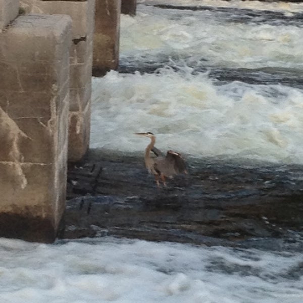 Trent-Severn Waterway Lock 19 - Scott's Mill - Canal Lock in Peterborough