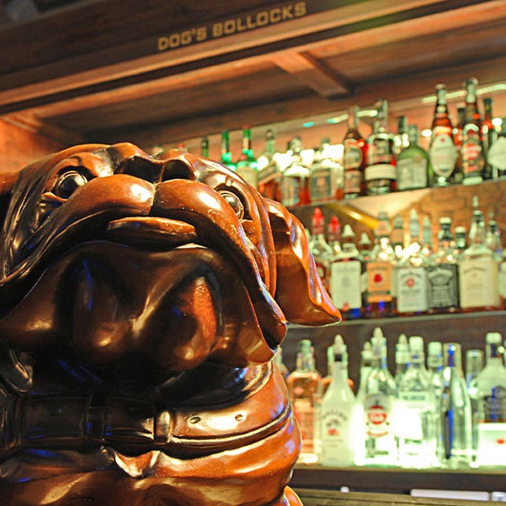 Photos at Dog's Bollocks - Restaurant in Praha 5