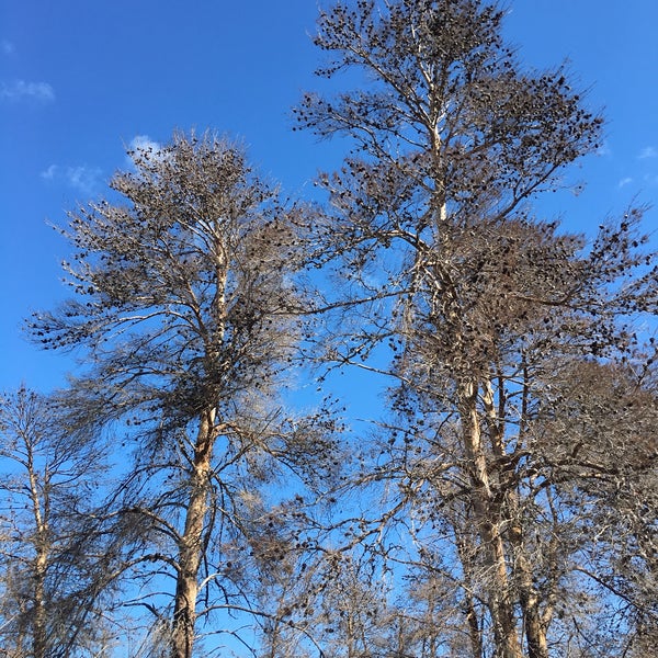 Seabranch Preserve State Park - 9 tips