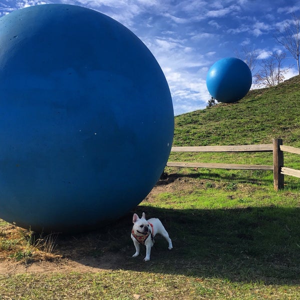 Big Blue Ball