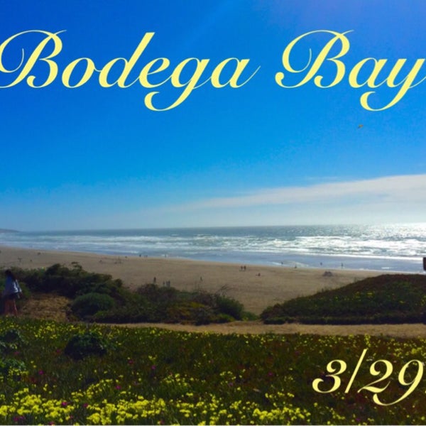Bodega Bay - Beach in bodega bay