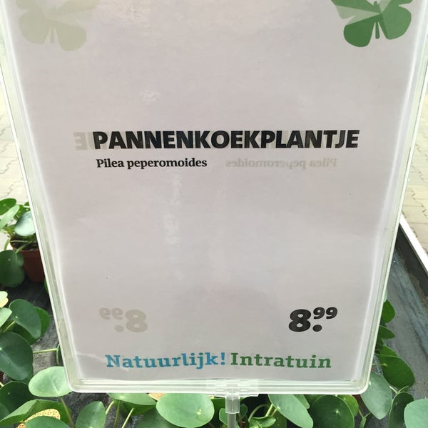 Intratuin - Cruquius, Noord-Holland