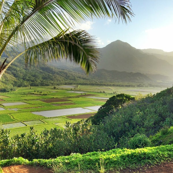 Hanalei Valley Lookout - Scenic Lookout in Hanalei
