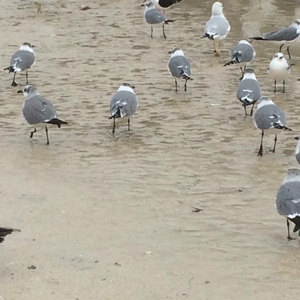 Green Key beach - New Port Richey, FL