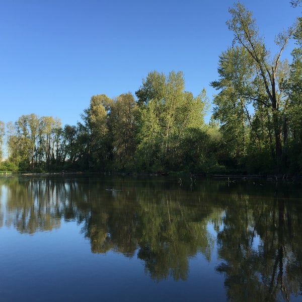 Whitaker Ponds Nature Park - Lake