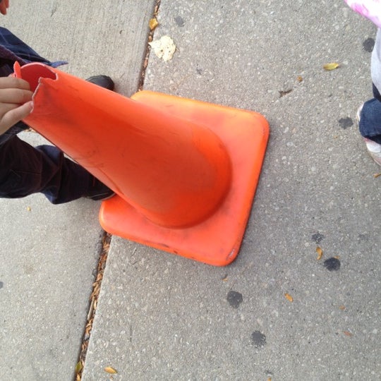 Nathan Davis School - Brighton Park - Chicago, IL