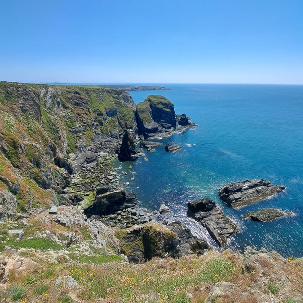 RSPB South Stack Cliffs - 4 tips from 216 visitors