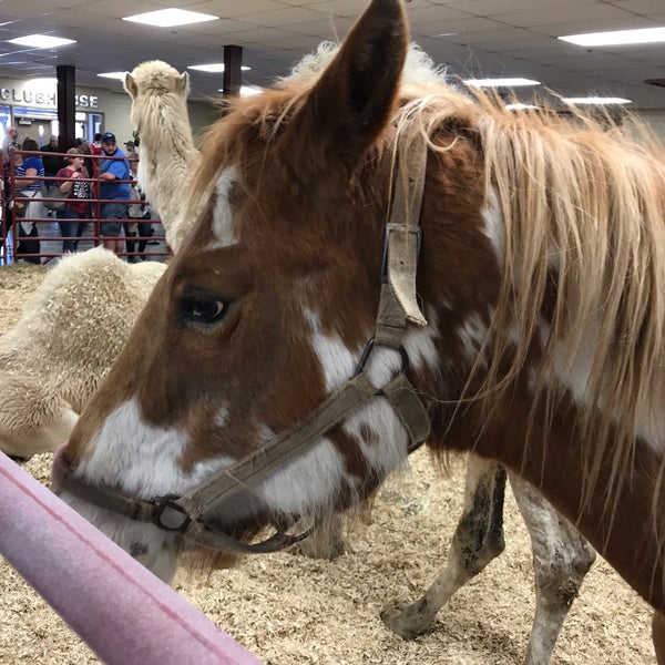 Fonner Park - Race Track
