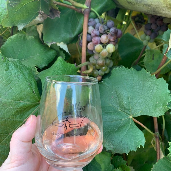 Mallow Run Winery - Winery in Bargersville