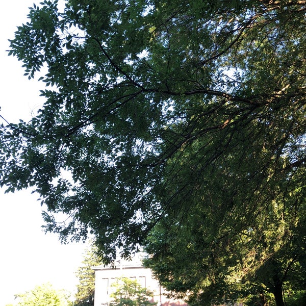 C. W. Henry Elementary School - Education in Philadelphia