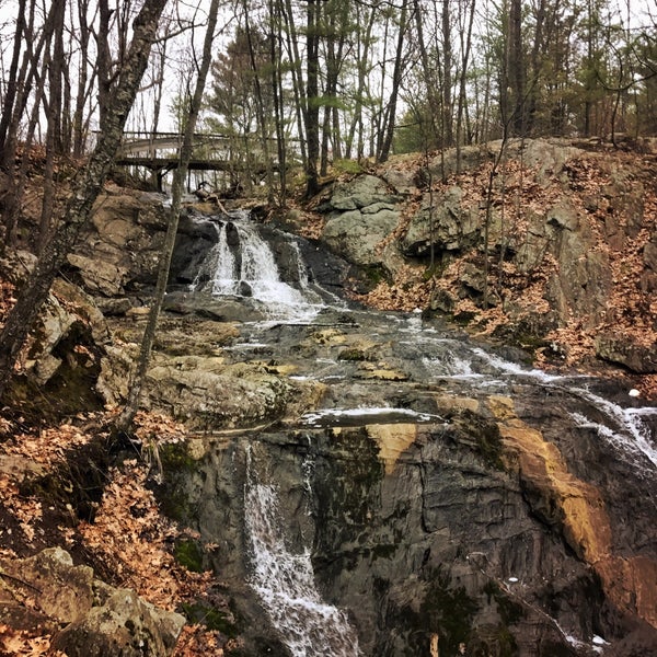 Fore River Sanctuary Trail - 1 tip from 107 visitors