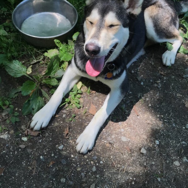 Quarry Run Dog Park - Dog Park in Portland