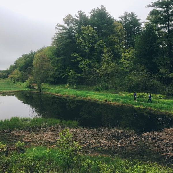 Fore River Sanctuary Trail - 1 tip from 107 visitors