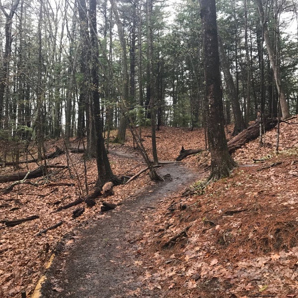 Fore River Sanctuary Trail - 1 tip from 107 visitors