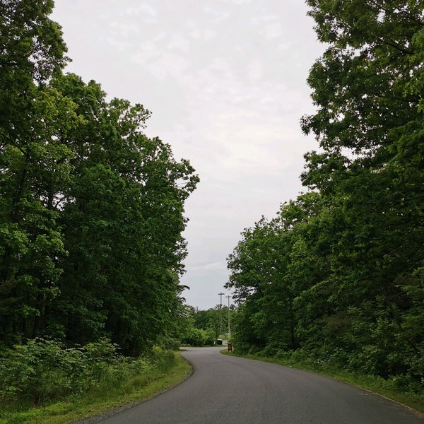 Poplar Tree Park - 468 visitors