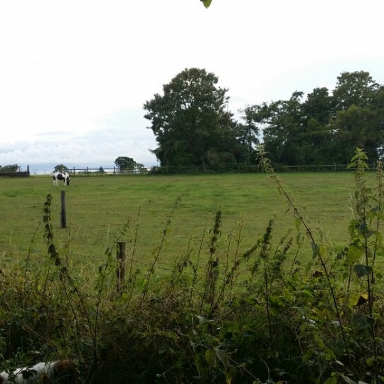 Great Bookham - Surrey, Surrey